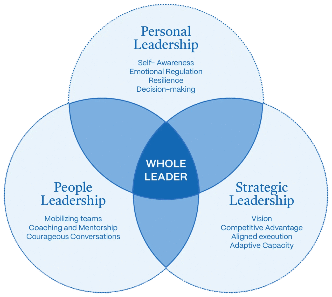 Leadership Coaching for CEOs & Executives | Mikael Meir